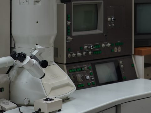 研究室メンバー – lifm.eng.hokudai.ac.jp/